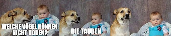 German Memes: Laugh Your Way to Fluency - LingQ Blog